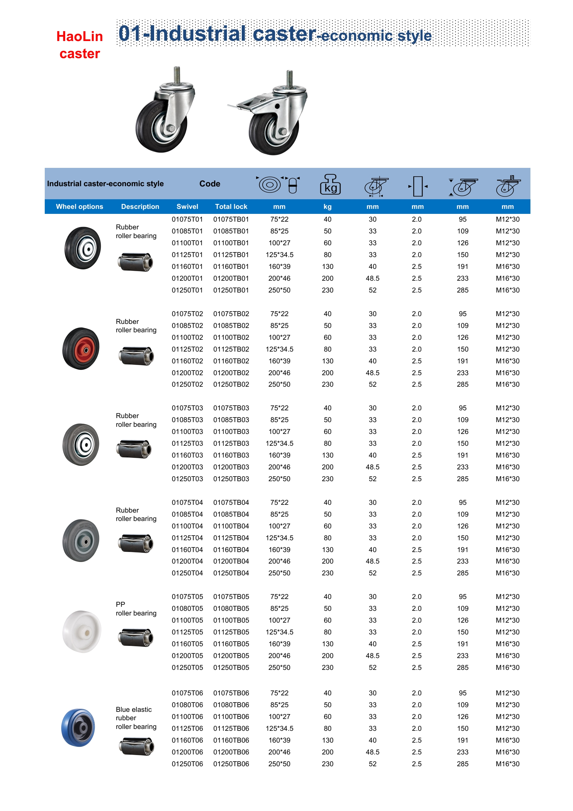 Industrial caster-Economic Style - GUANGZHOU HAOLIN CASTER AND HARDWARE ...